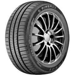 FORCELAND VITALITY F22 195/65R15 91V | MisterLLantas.com